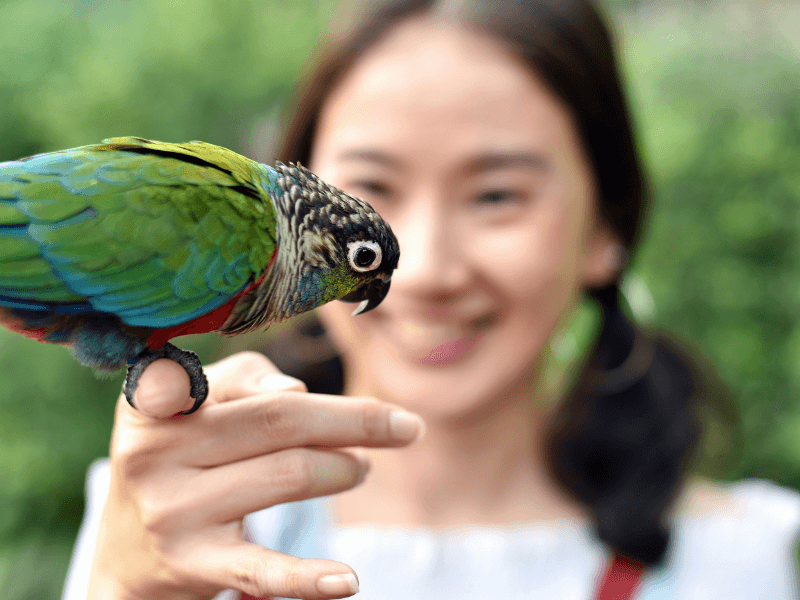 Tips To Connect Teenagers With Birds » Teenage Birdwatching - Bird ...
