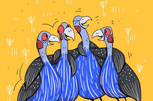 Are birds friends? - Bird Buddy Blog