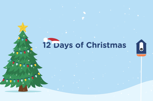 12 Days of Christmas: Counting by Gifts - Bird Buddy Blog