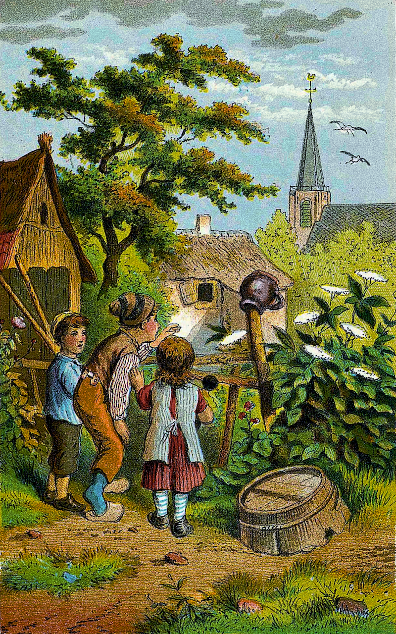 Storks: More Than Just Baby-Bringing Birds - Bird Buddy Blog