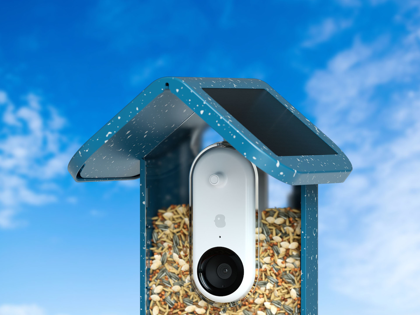 Bird Buddy May Update Bird Buddy Blog Bird Buddy May Update Bird Buddy Blog