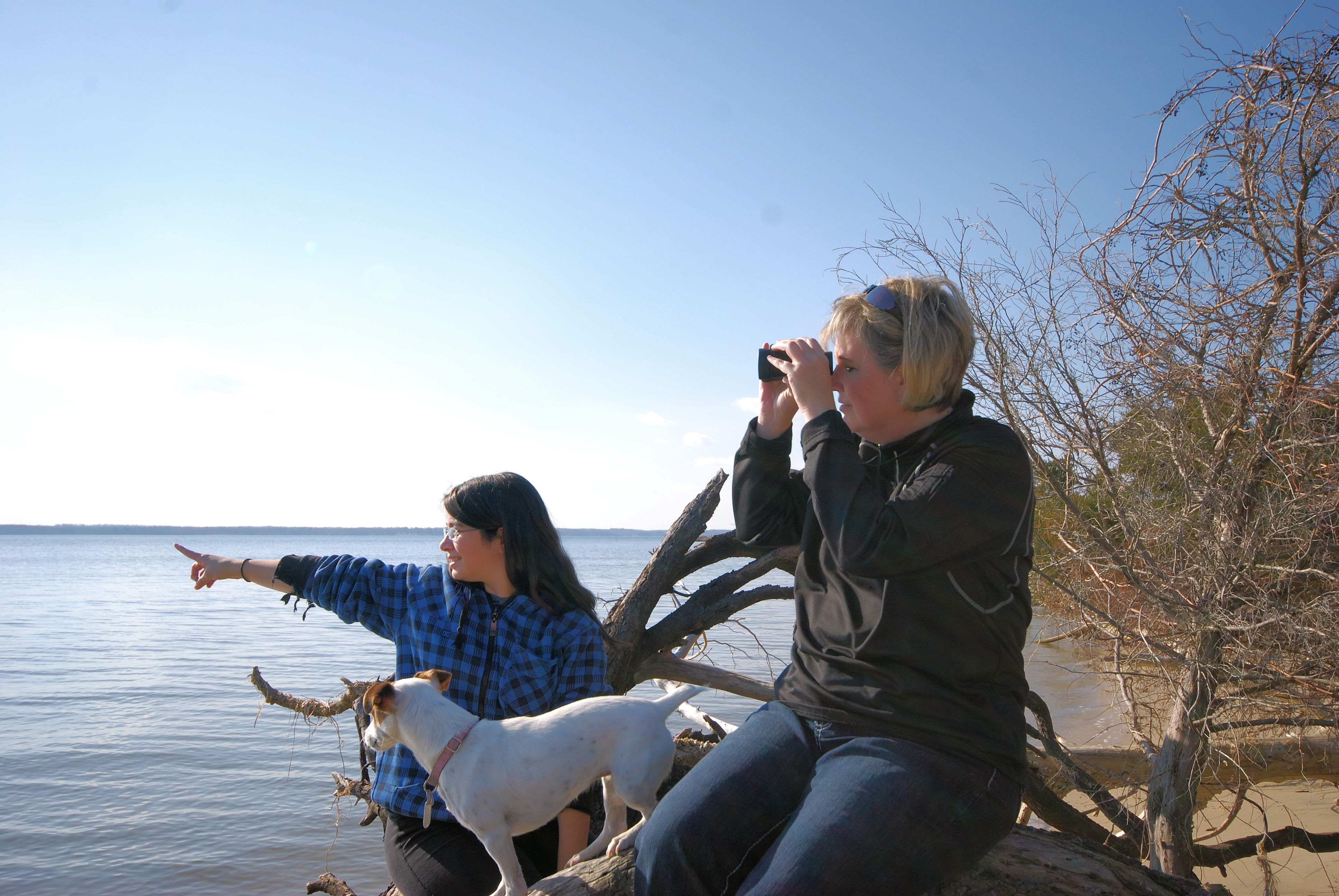 Birdwatching Lingo & Terminology - Bird Buddy Blog