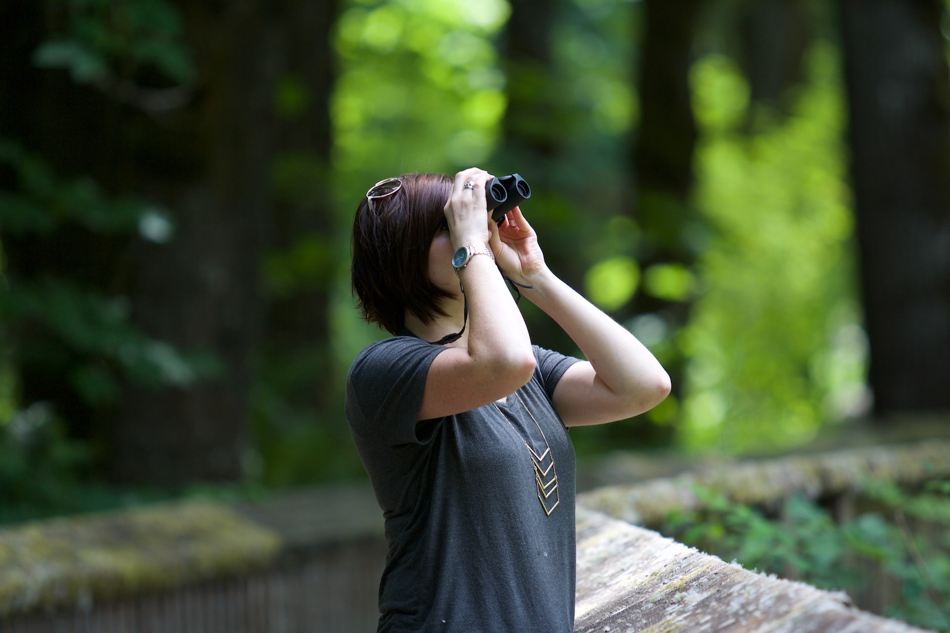 Advances in Birding Tech - Bird Buddy Blog