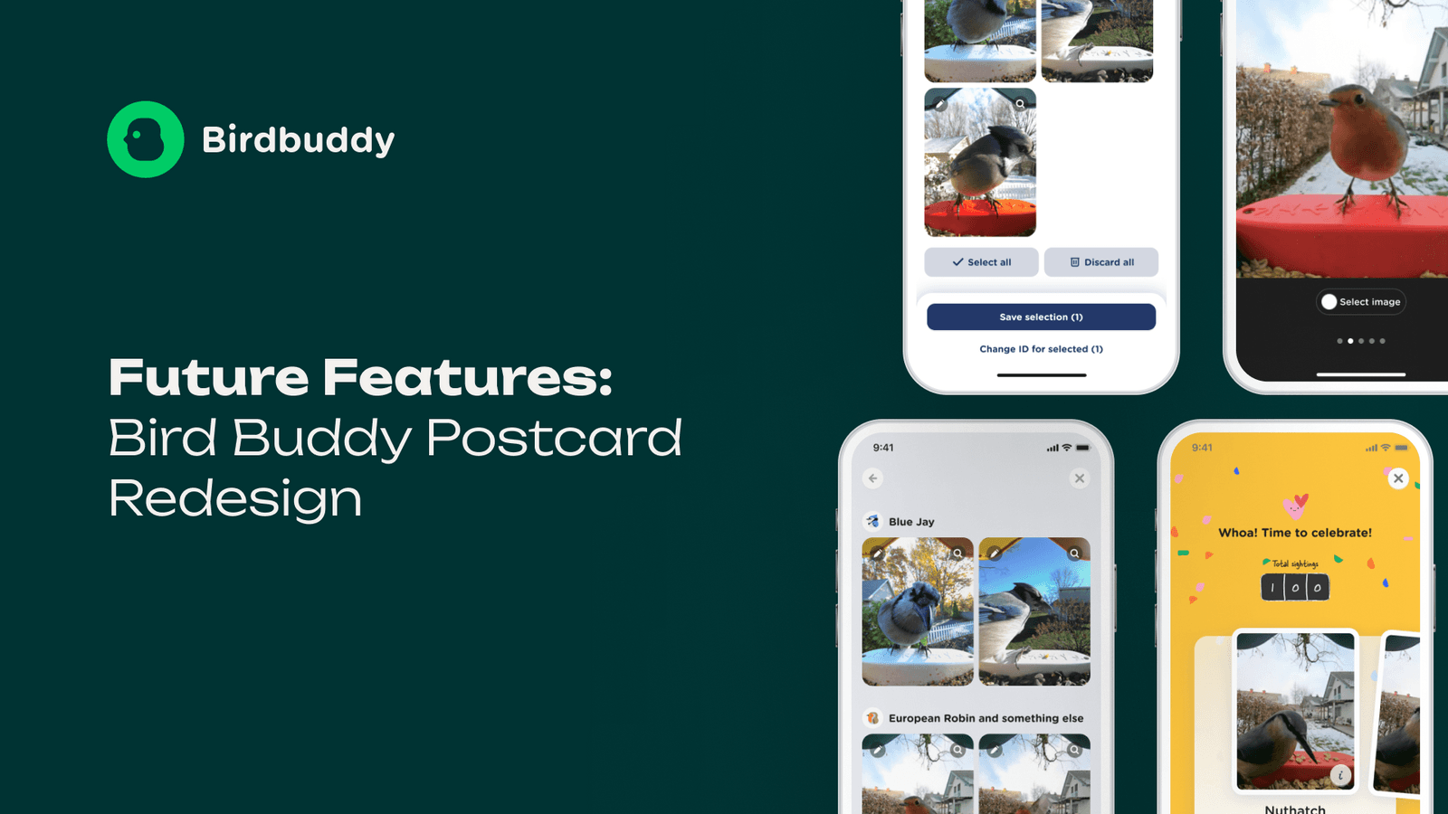 Bird Buddy Redesigns Postcard Feature - Bird Buddy Blog