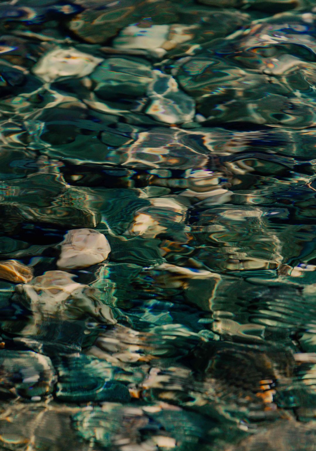 How To Auto Populate The Current User In ServiceNow | Snowycode