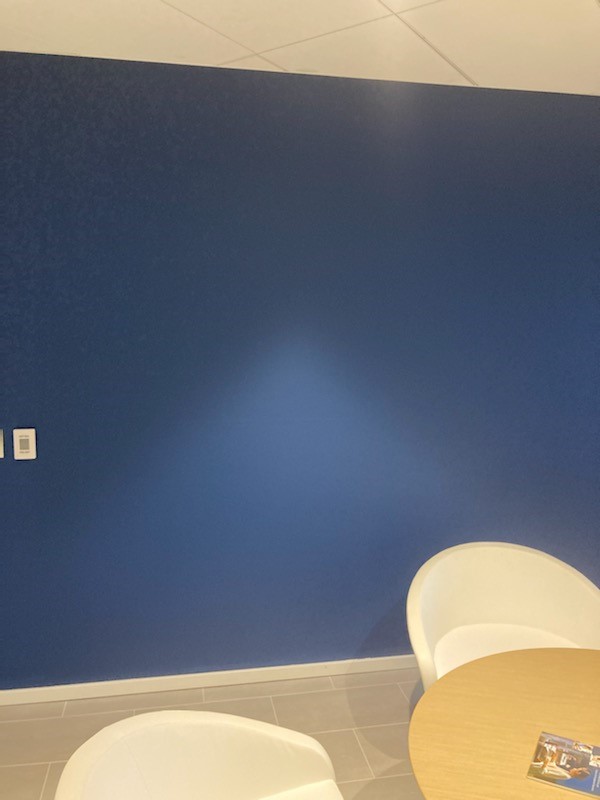 Forbo Wall Panels | Projects | Facilicare America