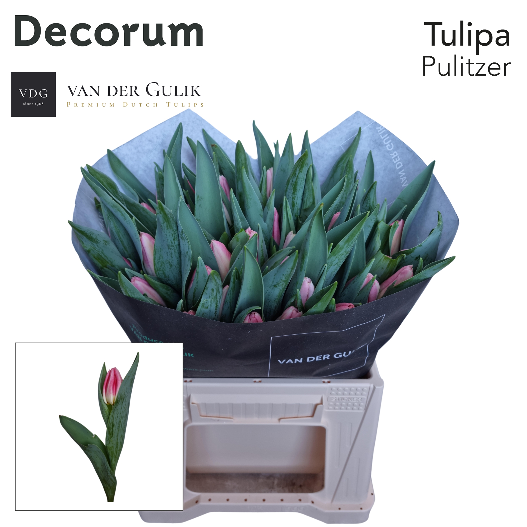 Assortiment - Van der Gulik B.V.