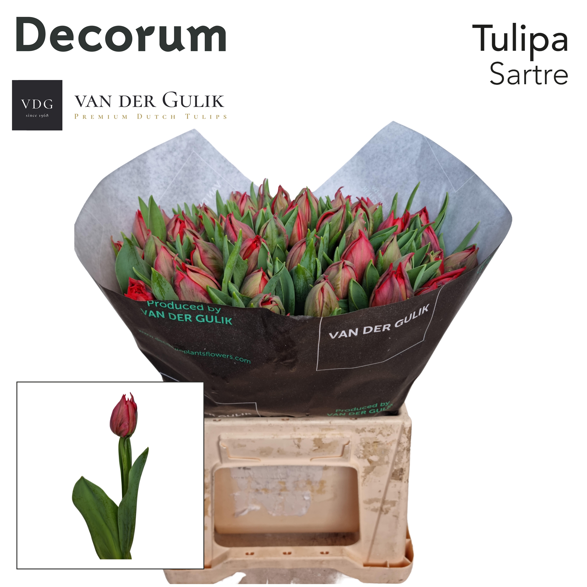 Assortiment - Van der Gulik B.V.