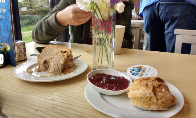 Arne Nature Reserve Route - Cyclexperience