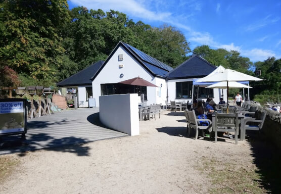 Arne Nature Reserve Route - Cyclexperience