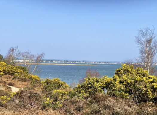 Arne Nature Reserve Route - Cyclexperience