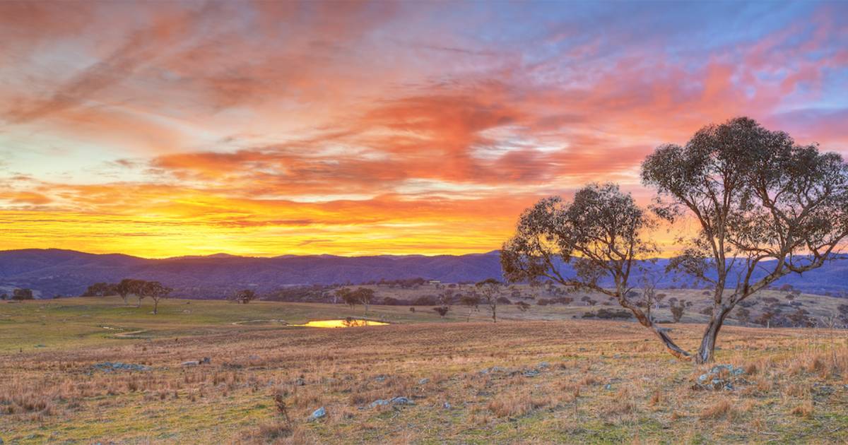 Why invest in Googong: a community set to boom | DPN