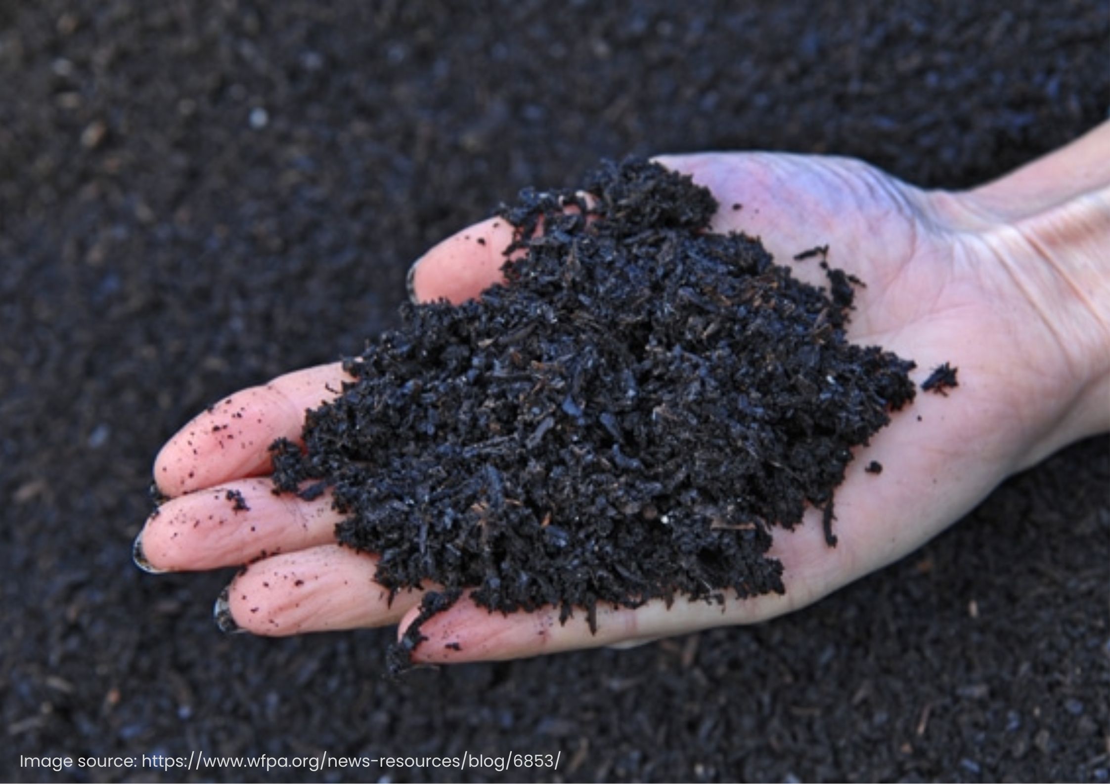 Biochar: Can It Help Reduce Carbon Emissions?