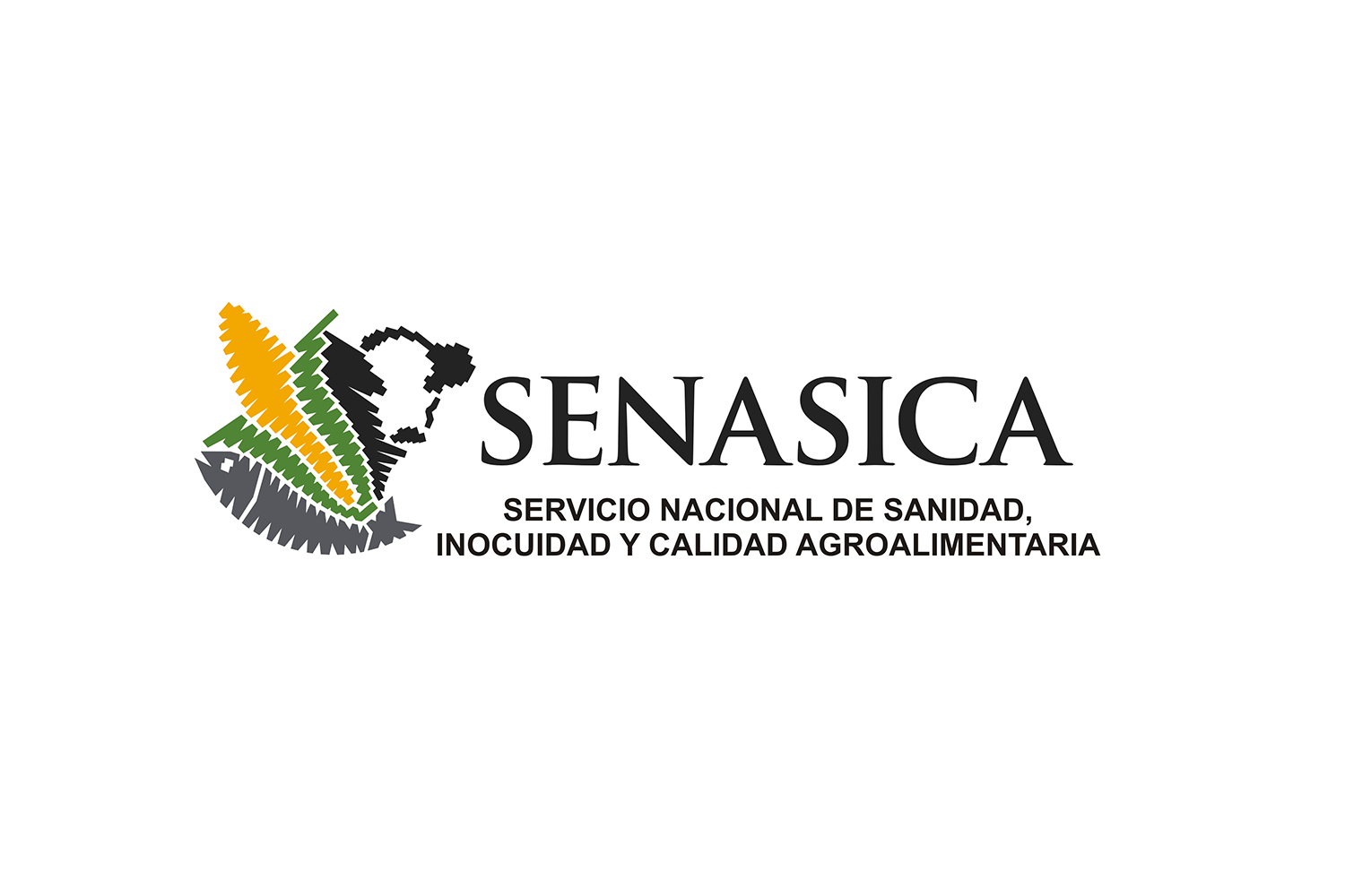 Aeventos - Expertos en todo tipo de eventos