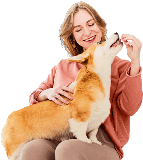 Happy Tails - Best Pet Grooming Salon Falls Church