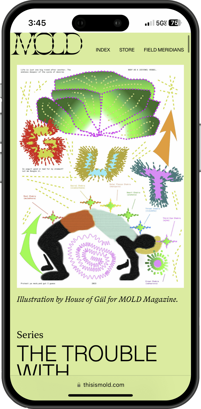 Mold Magazine