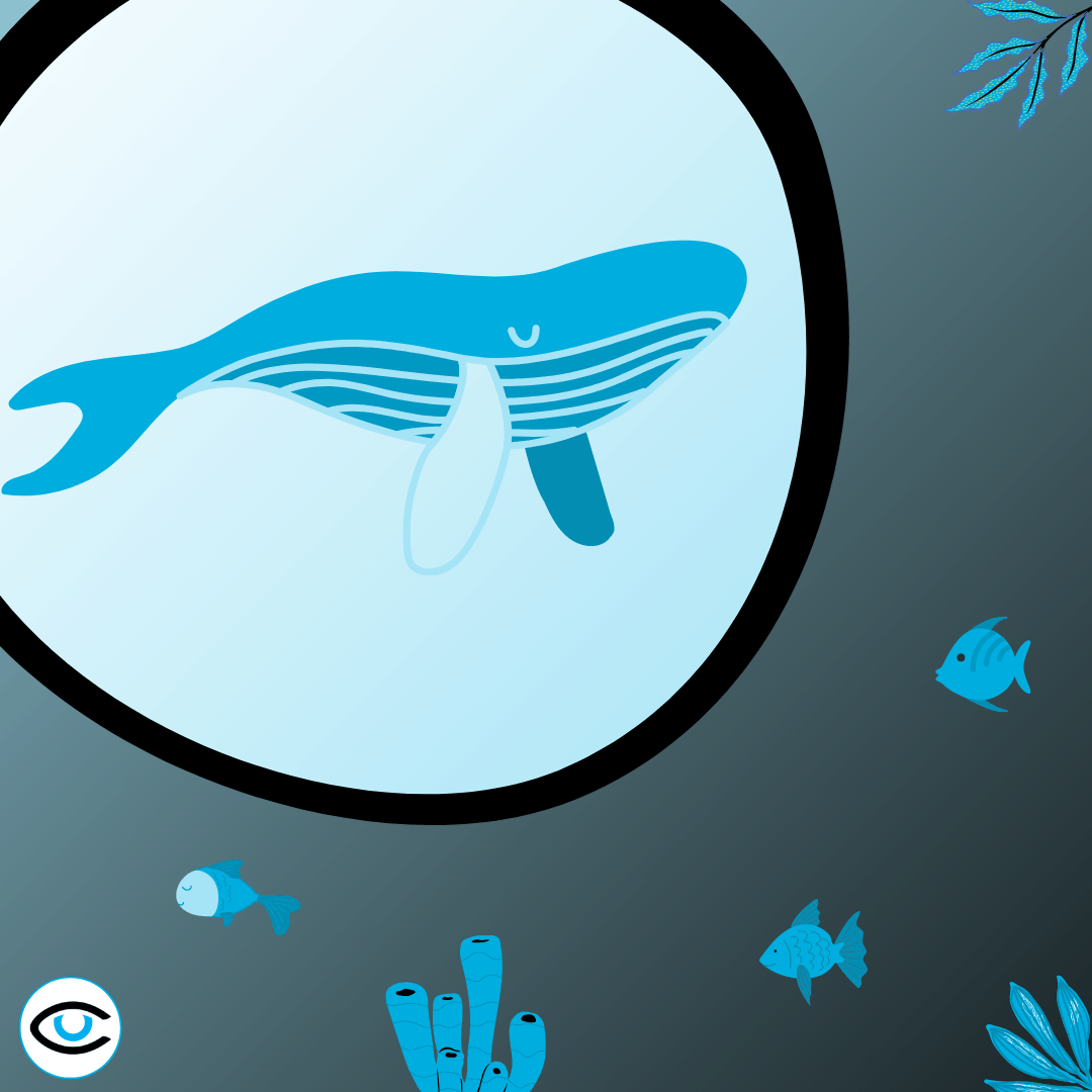 You Know About Phishing, But What Is Whaling And Why Do You Need To ...