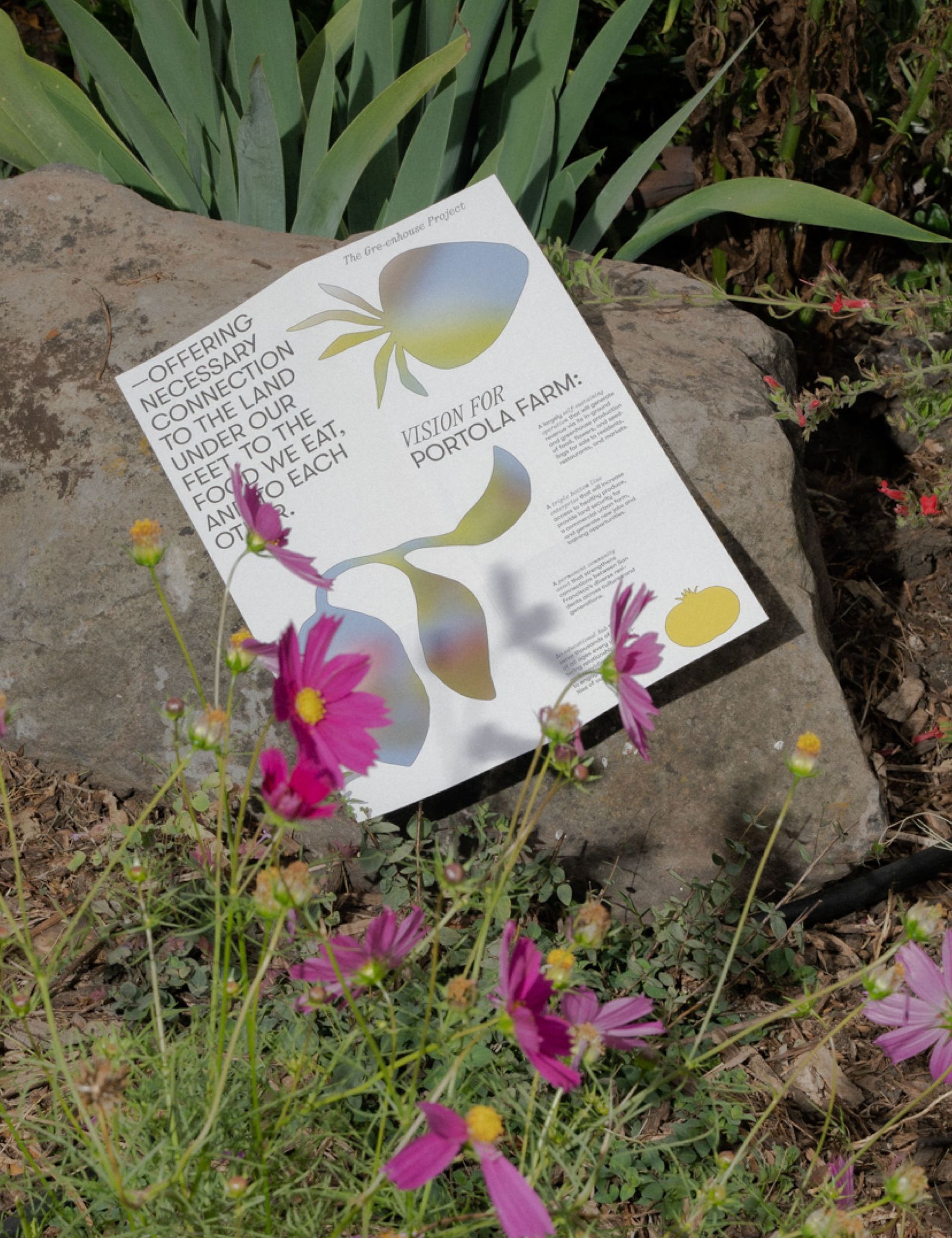 Companion—Platform