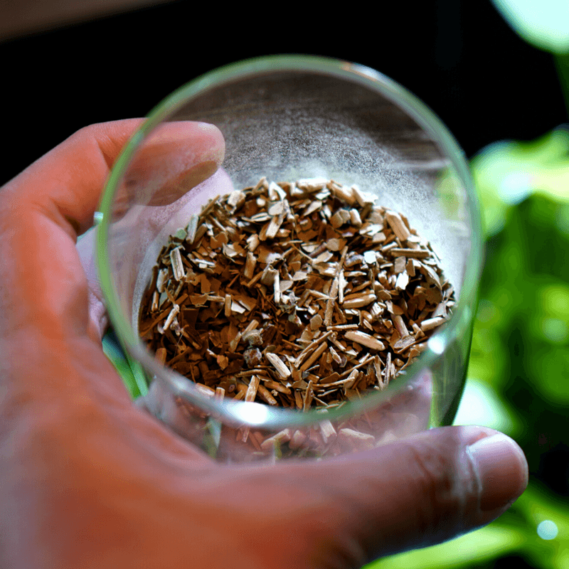 Trà yerba mate là gì ? | Matéa - Coffee & Yerba Maté