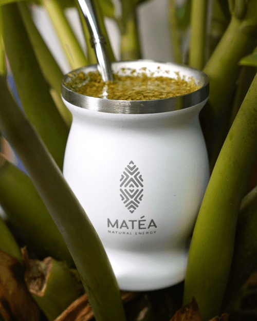 Trà yerba mate là gì ? | Matéa - Coffee & Yerba Maté