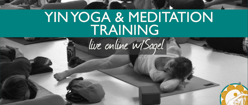Take a Deep Dive into Yin Yoga & Meditation Take a Deep Dive into Yin Yoga & Meditation