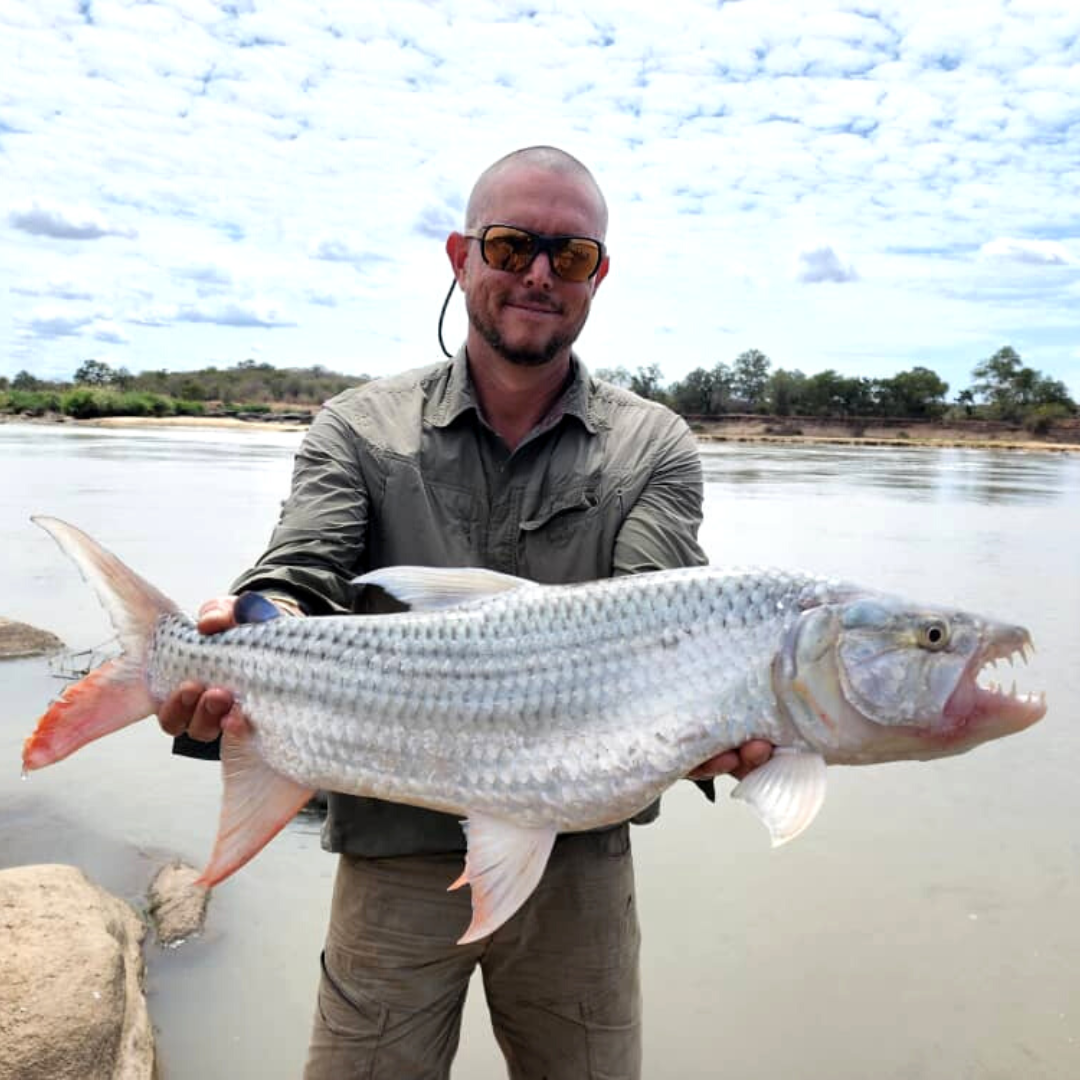 Majestic Rivers - Blog Posts