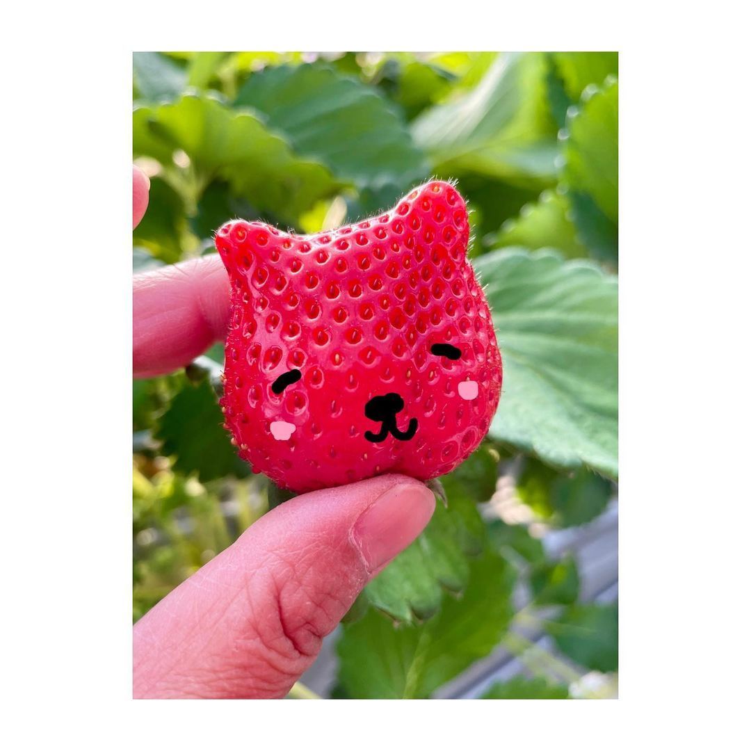 Inoue Ichigoen - ホーム