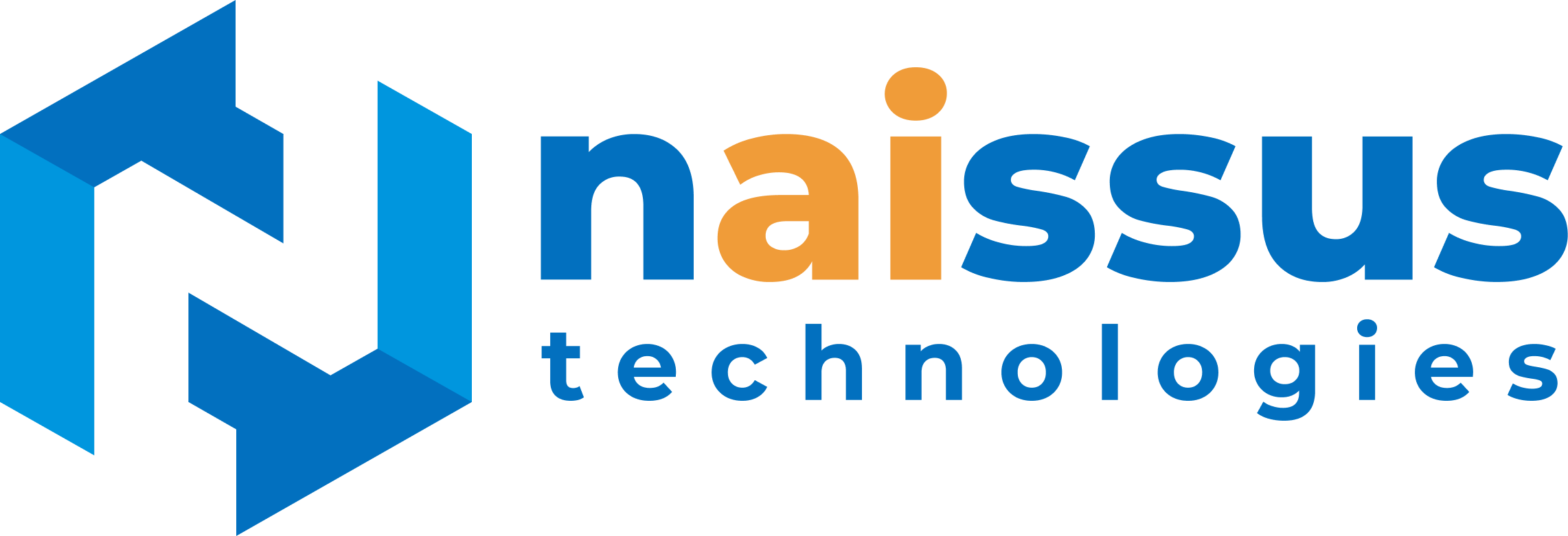 Naissus Tech Home