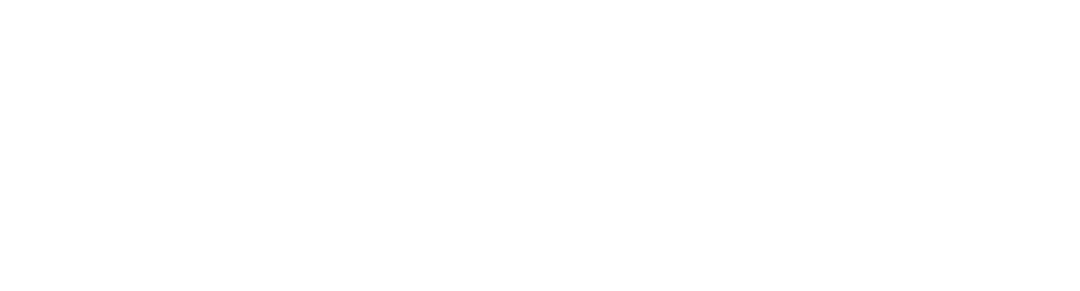 Rock-Solid Software Engineering with Naissus Tech