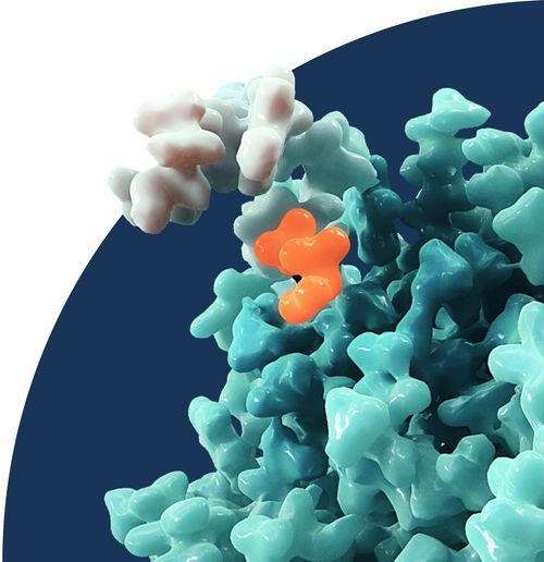 EcoR1 Capital | Biotech-Focused Investment Fund