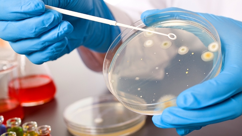 SAMENTO | Product of Nutramedix | Bionatus