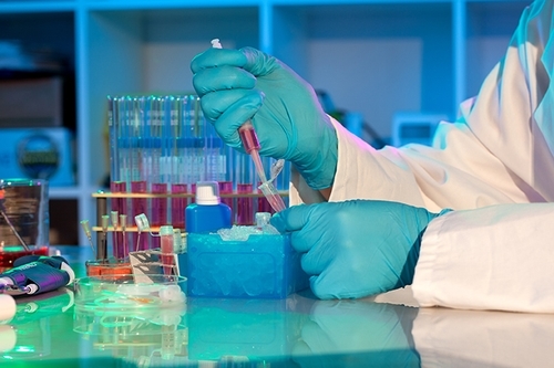 SAMENTO | Product of Nutramedix | Bionatus