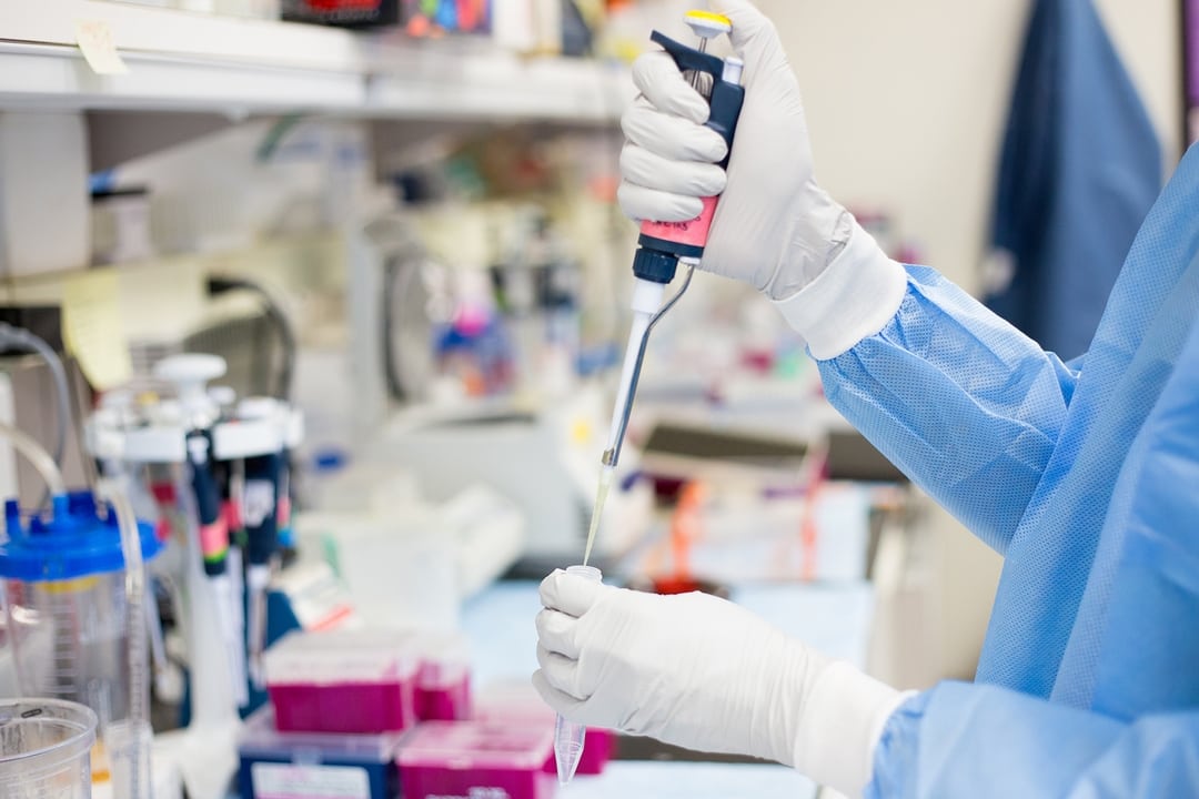 SAMENTO | Product of Nutramedix | Bionatus