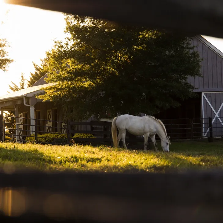 Home Improvement Financing Solutions - Transform Your Vision into ...