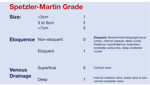 Evaluation of Brain Arteriovenous Malformations