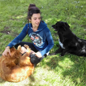 About | Party for Animal Welfare Ireland