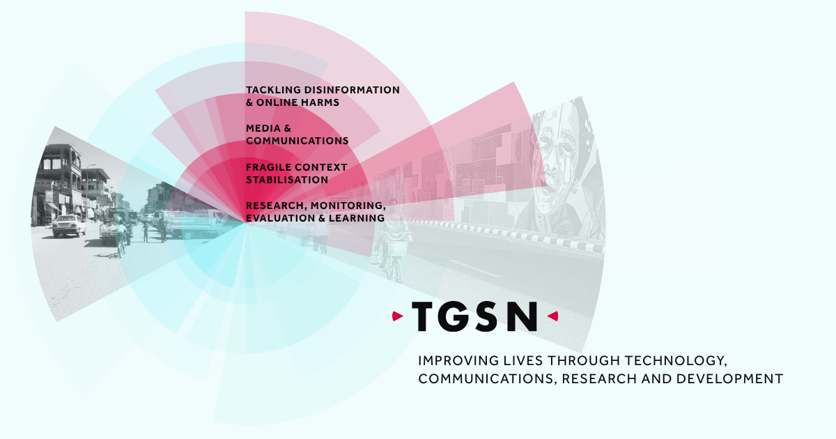 The Global Strategy Network