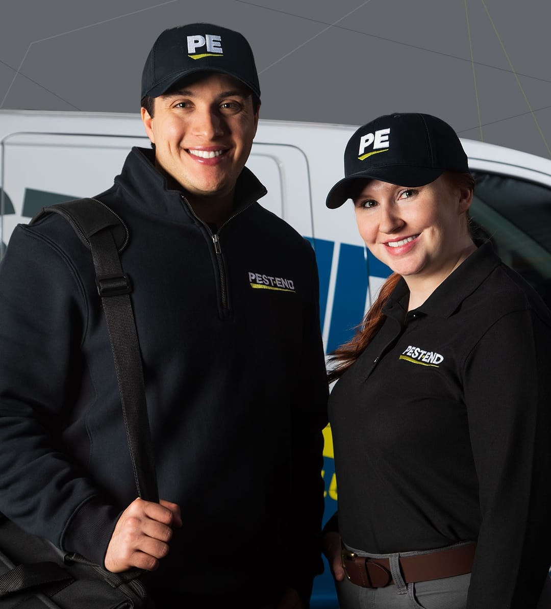 Pest-End | Pest & Wildlife Control In MA, NH, ME, VT, & RI