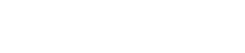 ELEMENT is your partner for digital insurance products | ELEMENT Insurance