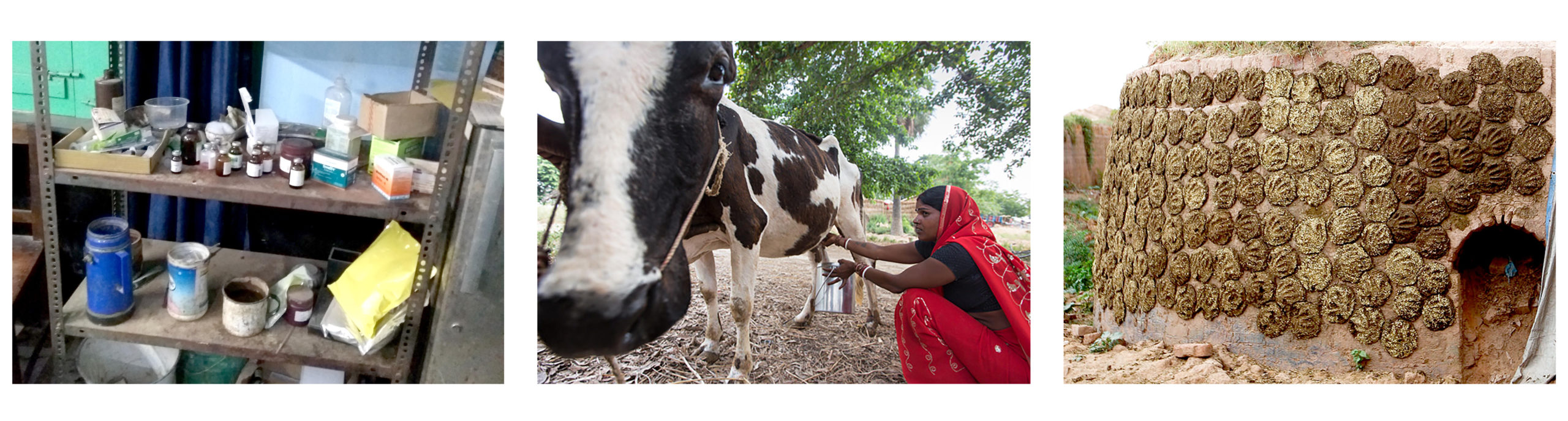 Design Science - Prototype testing kit to tackle antimicrobial ...