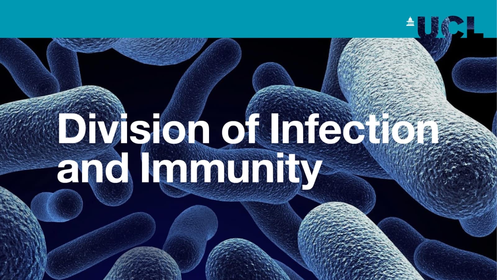Design Science - Website redesign for UCL Division of Infection and ...