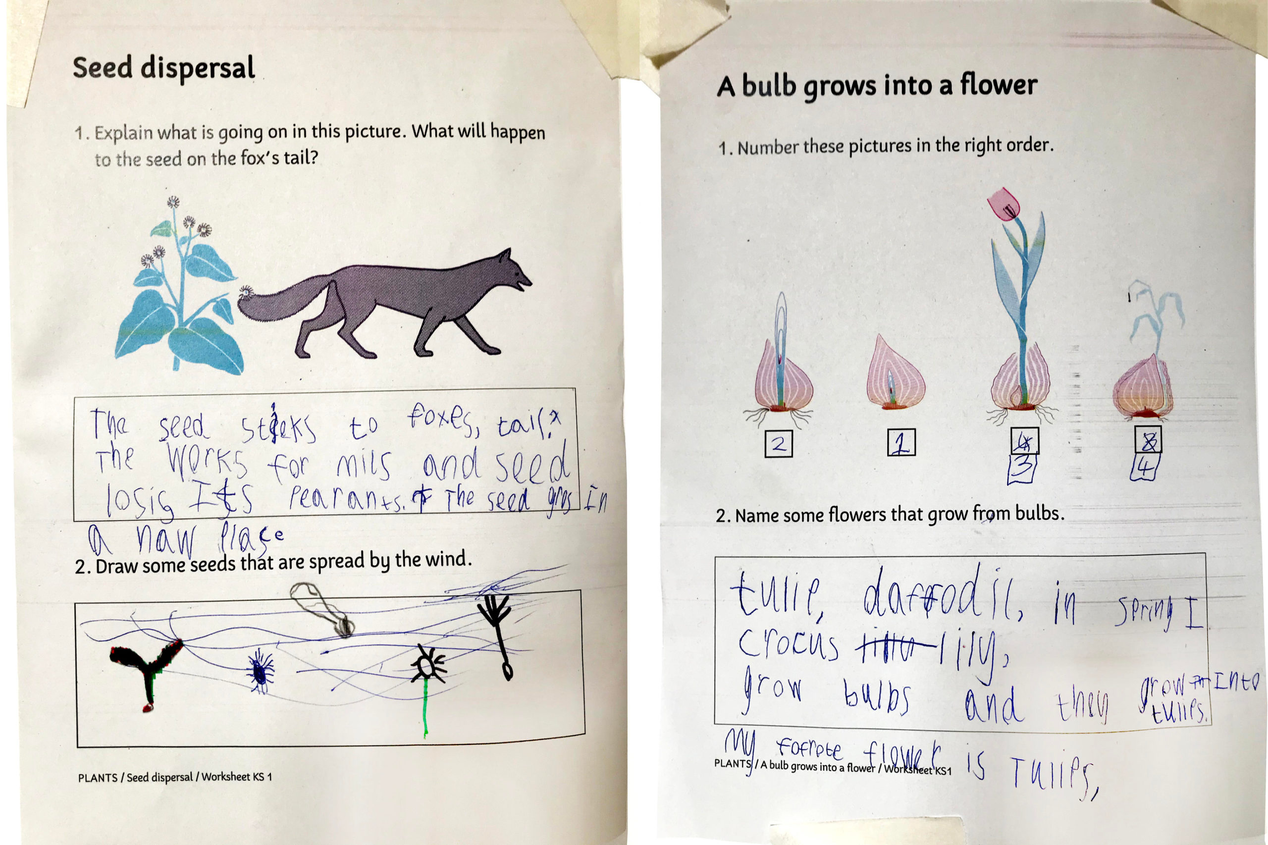 Design Science - Marie Neurath: Science education resources for primary ...