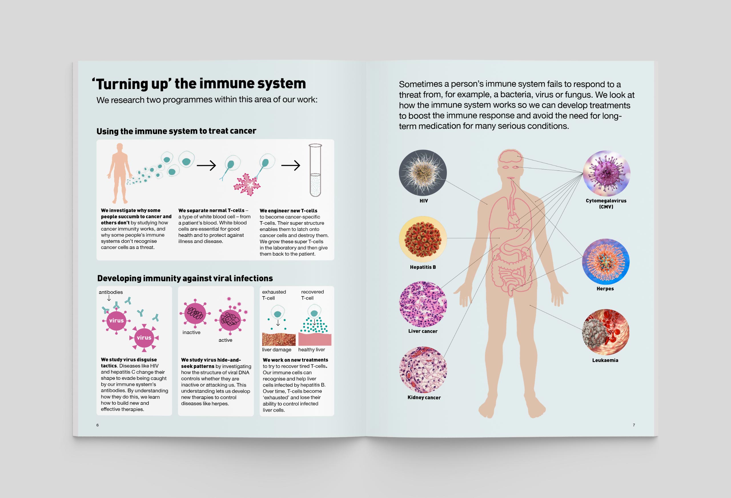 Design Science - Publication design for UCL’s Institute of Immunity and ...