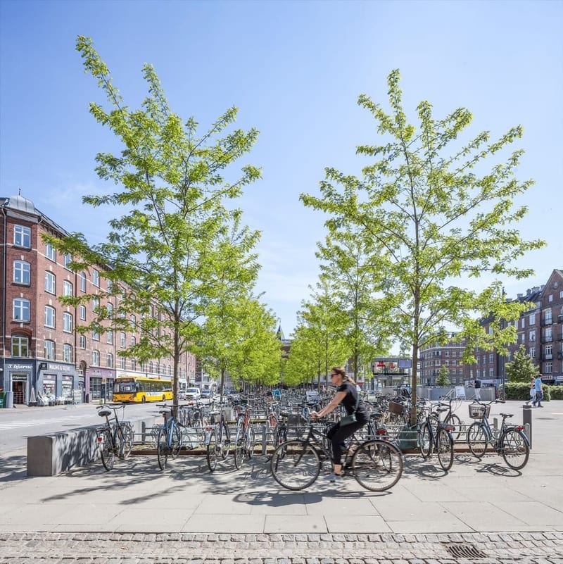 Milford – Liveable cities, where people feel healthy and safe