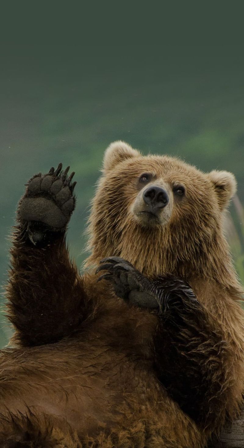 Walking Softer | Home