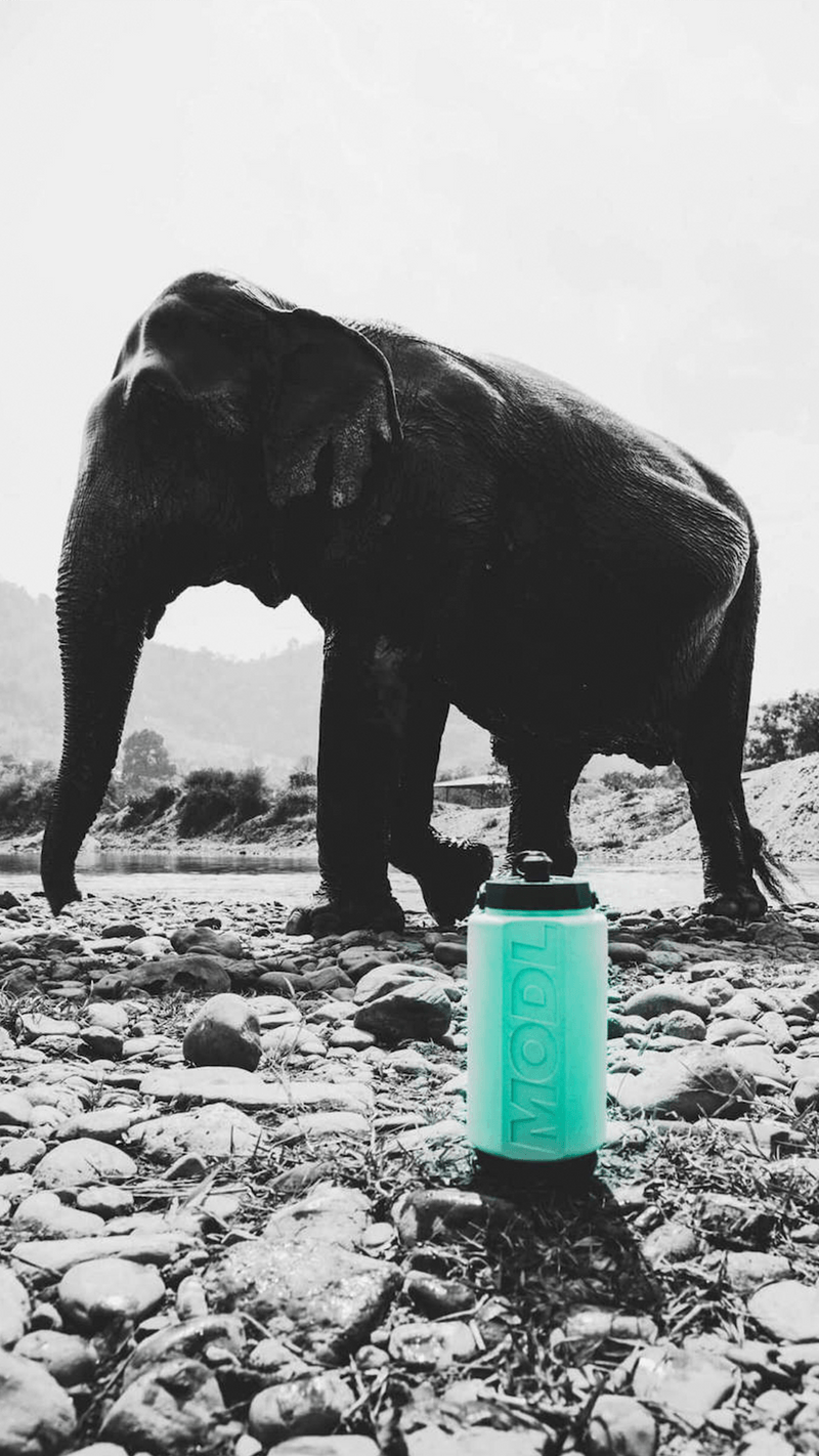 Carson+Doyle | Gen Z Marketing Agency