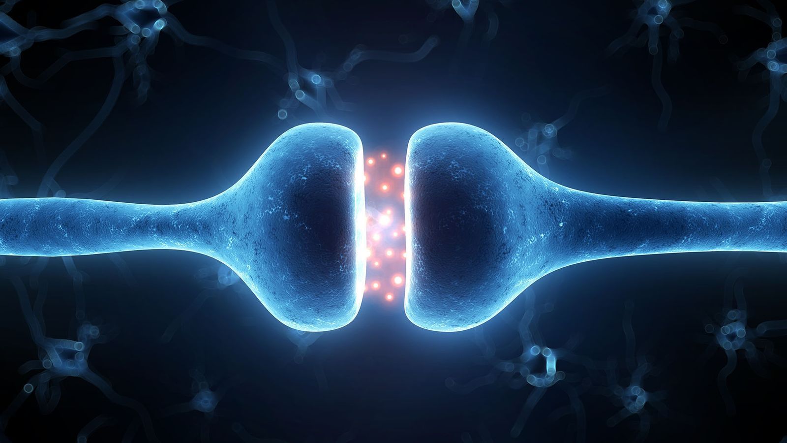 Clinical Endocannabinoid Deficiency Syndrome (CED)