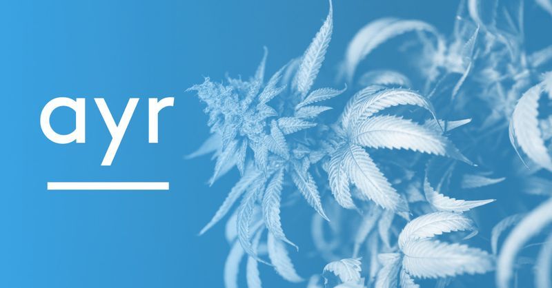 Living the High Life!