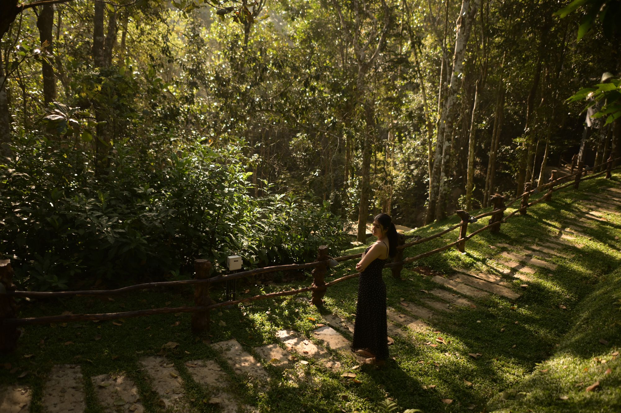 Chembarathi Wayanad Boutique Resort | Luxury Stay Amidst Nature