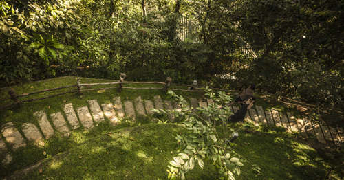 Chembarathi Wayanad Boutique Resort | Luxury Stay Amidst Nature